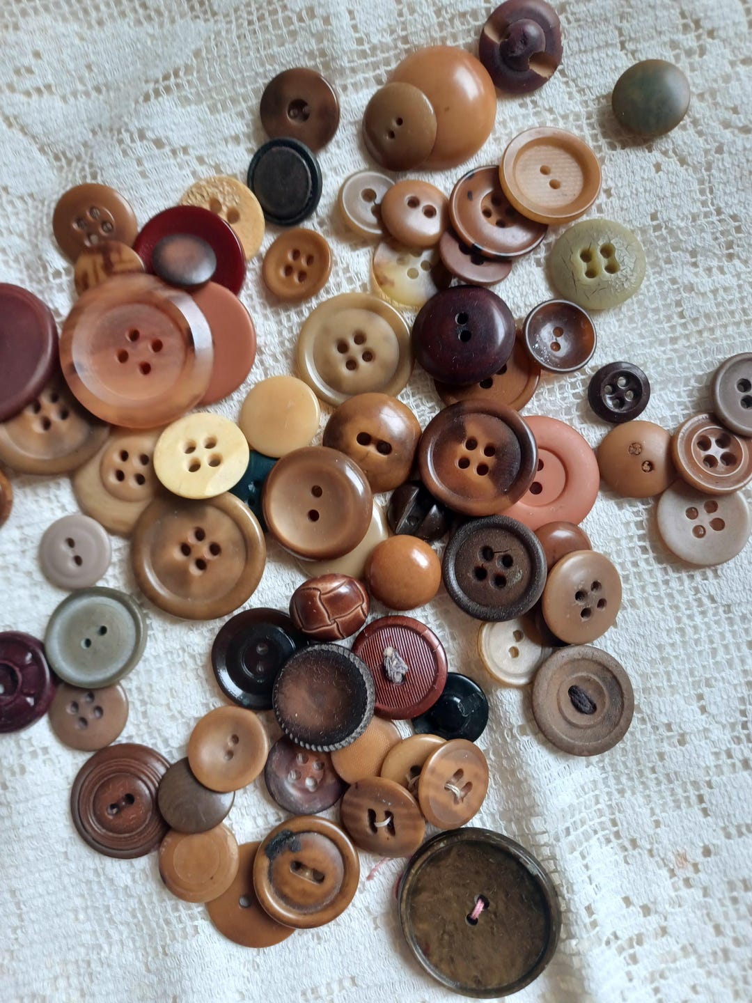 Lot of 75 Vintage Vegetable Ivory Celluloid Buttons Antique Button Lot ...