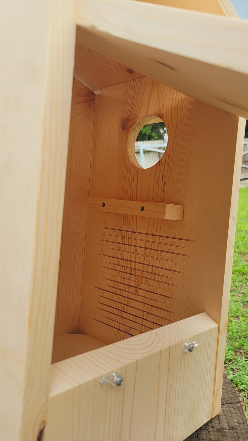 Screech Owl and Kestrel Nesting Box - Etsy