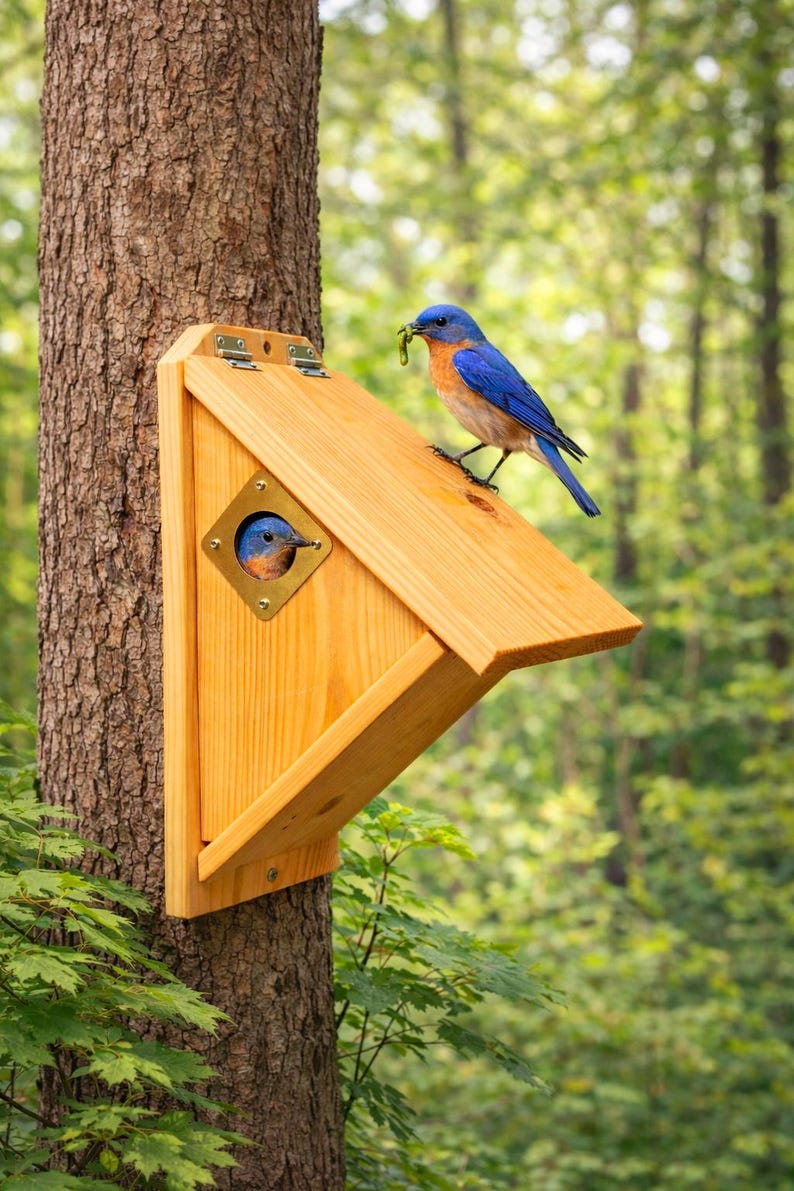 Cedar Birdhouse - Entry Hole Size Options - Etsy