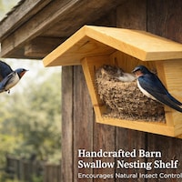 Bird-themed Display Shelf - Etsy