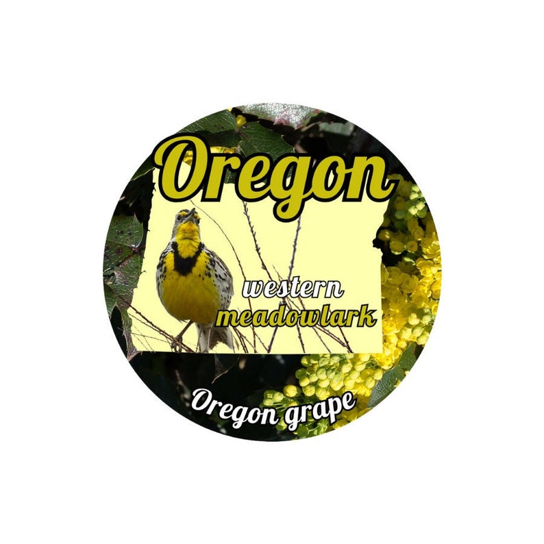 Oregon State With State Bird and Flower Sticker - Etsy