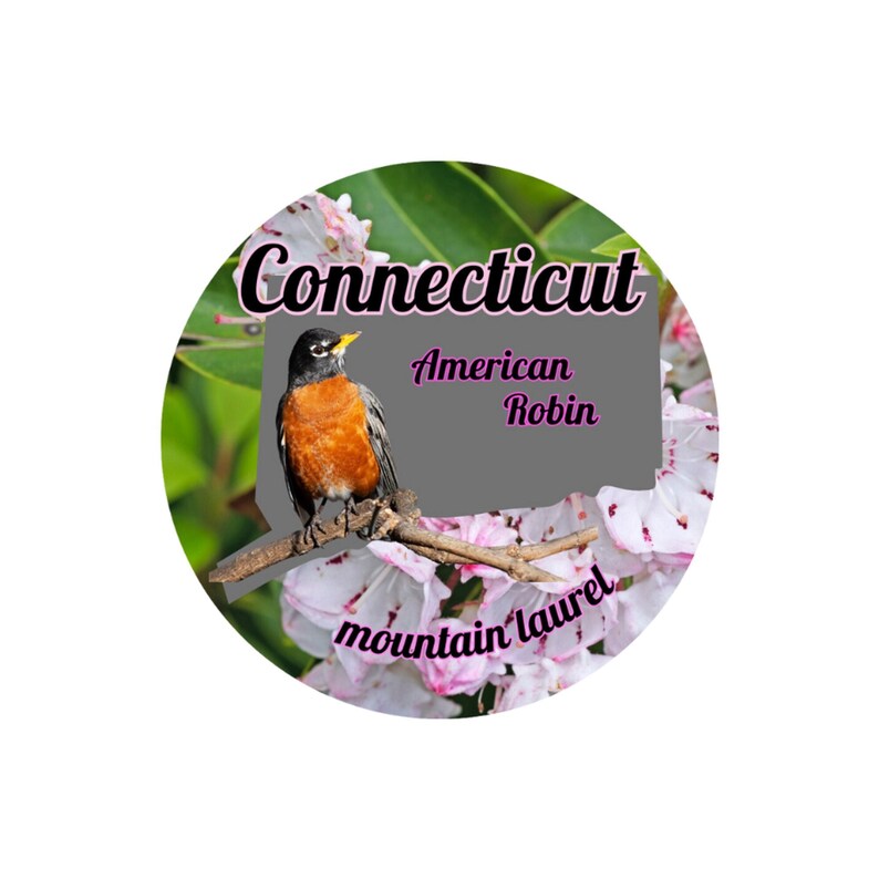 Connecticut State With State Bird and Flower Sticker - Etsy
