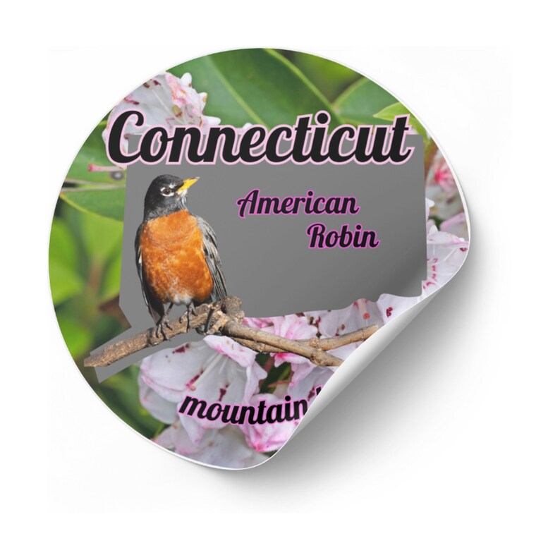 Connecticut State With State Bird and Flower Sticker - Etsy