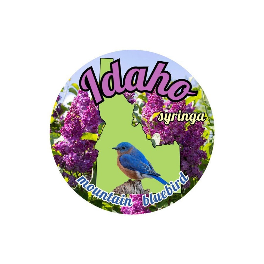 Idaho State With State Bird and Flower Sticker - Etsy