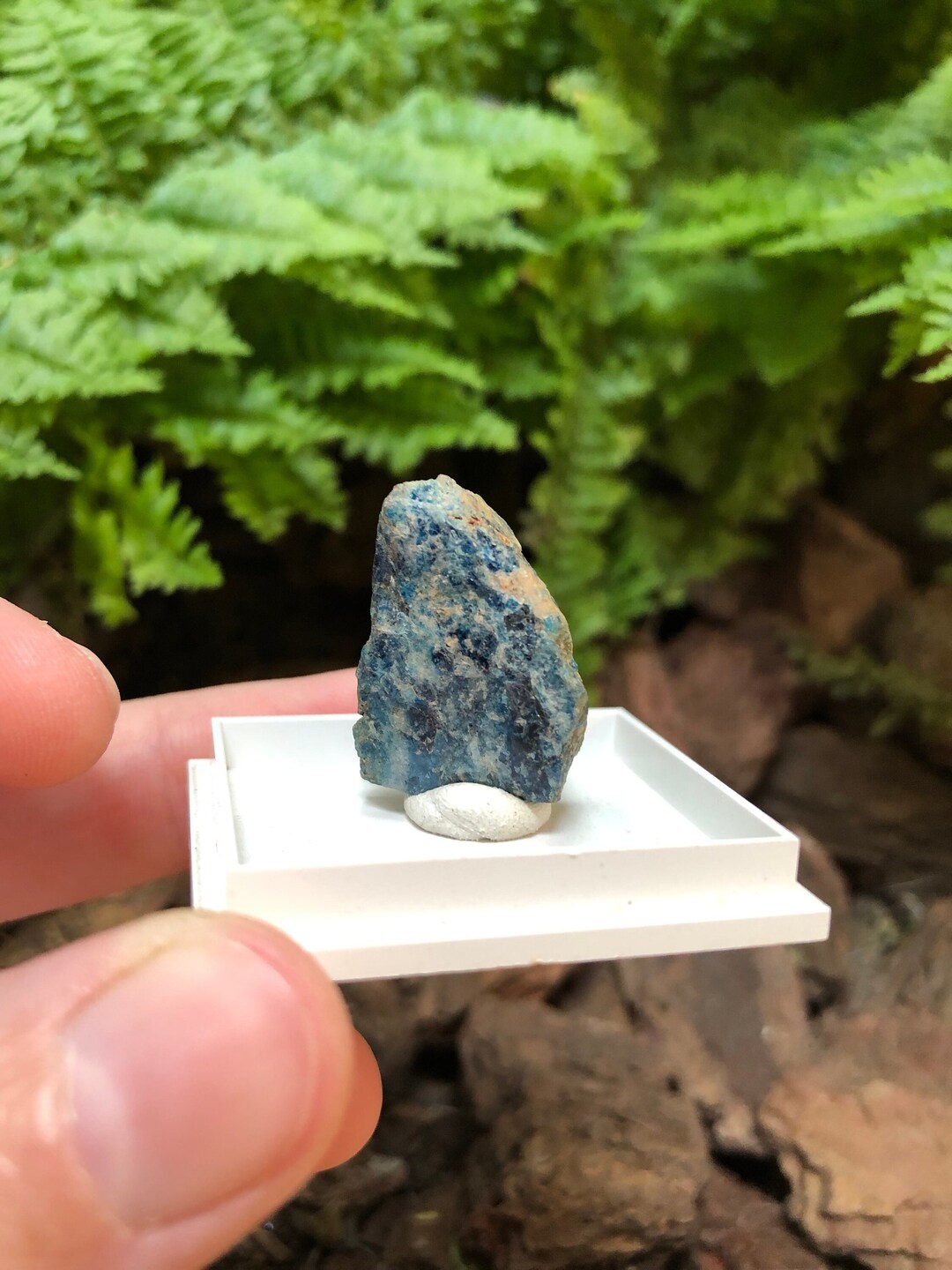 Blue Euclase From Zimbabwe Natural Crystal Mineral Specimen - Etsy