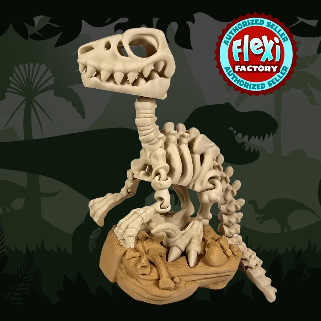Articulated Skeleton Velociraptor (raptor) Dinosaur With Optional Stand ...