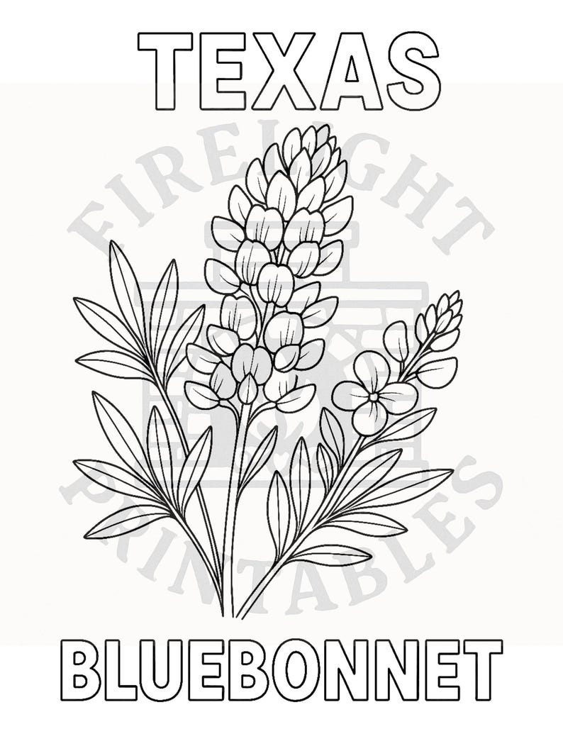 State Flowers Coloring Book: Educational Nature Printables (PDF ...