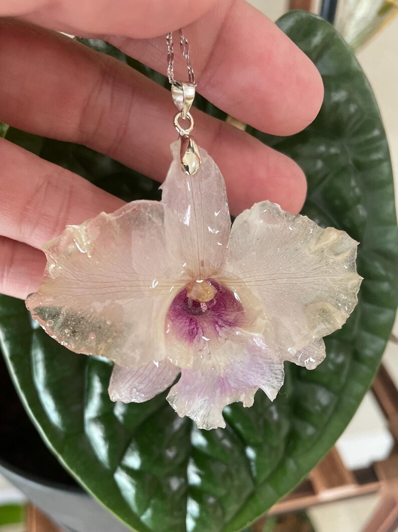 Real Ruffled Dendrobium “tuesday Delight” Orchid Necklace – Stainless ...