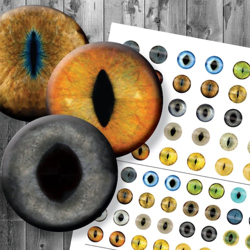 Realistic Cat Eyes Digital Collage Sheet Printable Cat | Etsy