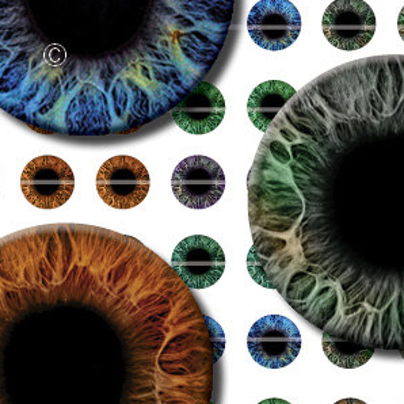 MegansCreativeDesign - Etsy