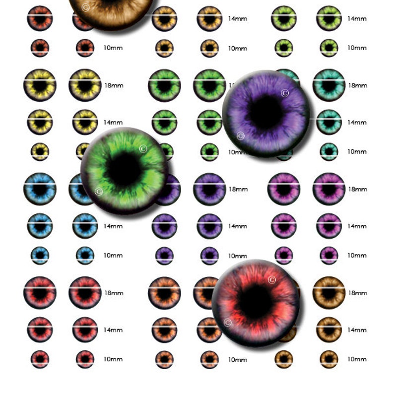 Teddy Bear Eyes - Etsy