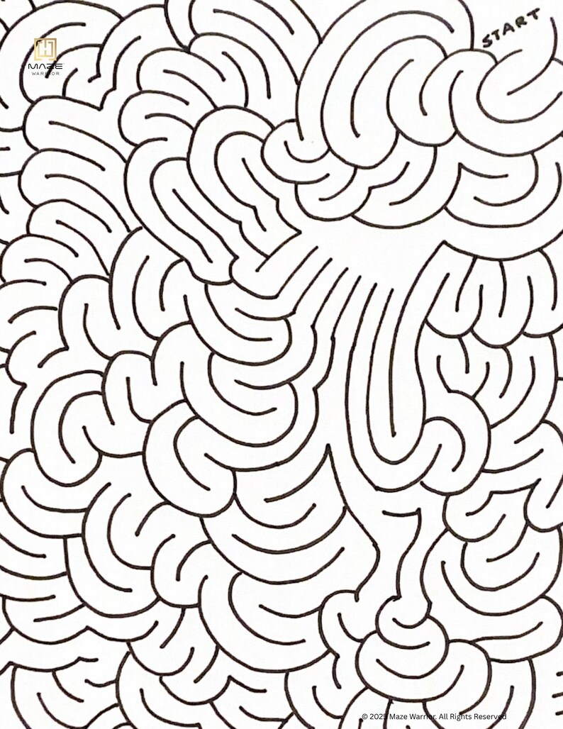 Wave 7 Maze: Hand-drawn Puzzle for Adults & Kids 11+ (digital Download ...