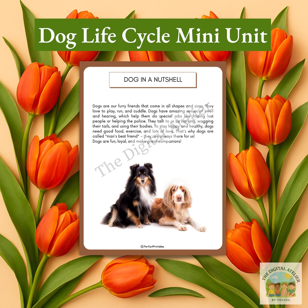 Dog Life Cycle Worksheet for Kids – Printable Science Activities, STEM ...