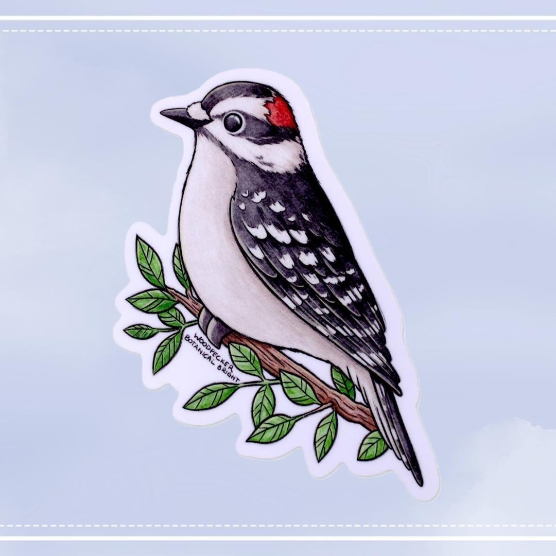 Downy Woodpecker Bird Sticker - Waterproof Vinyl Nature Decal ...