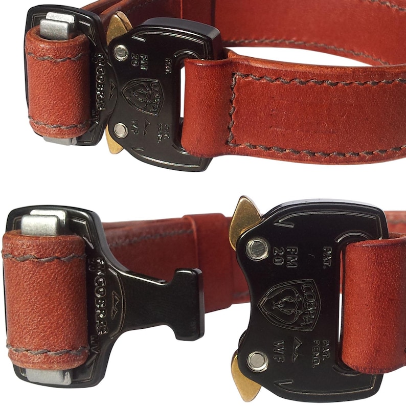 Fivela AustriAlpin COBRA® FM · Fivela de liberação rápida de 20 mm (0 ...