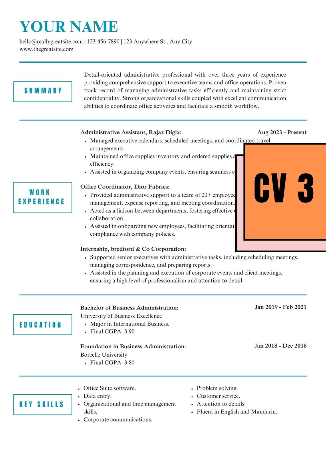 Professional Resume | Professional CV | CV Templates | Resume Templates ...