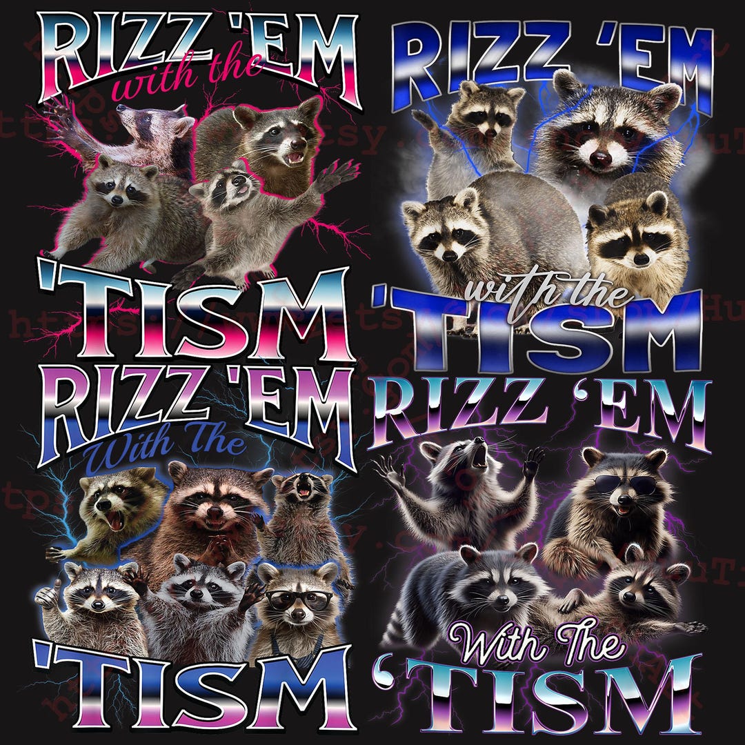 Raccoon Meme Png| Rizz Em With the Tism Png | Neurodivergent Trash ...