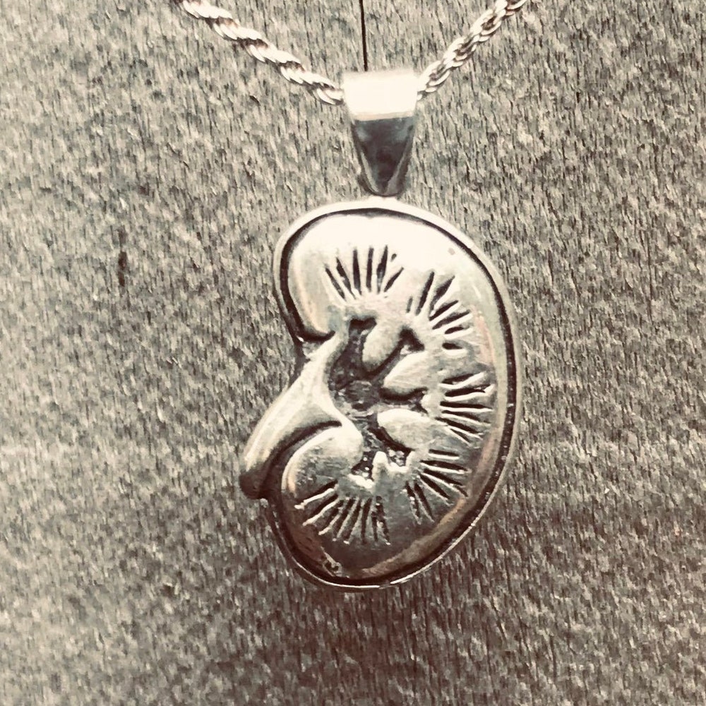 AnatomyArt - Etsy