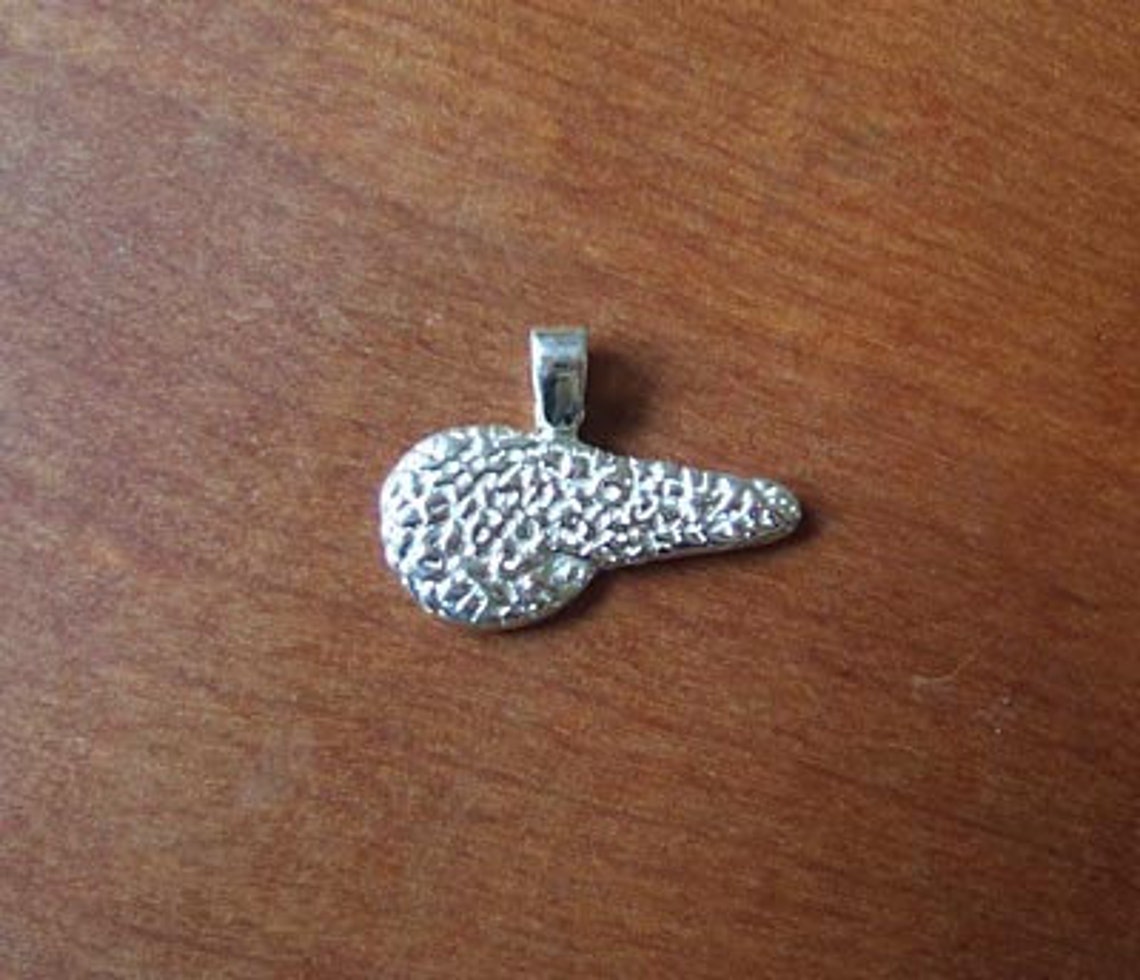 Anatomical Pancreas Necklace in Solid Sterling Silver - Etsy