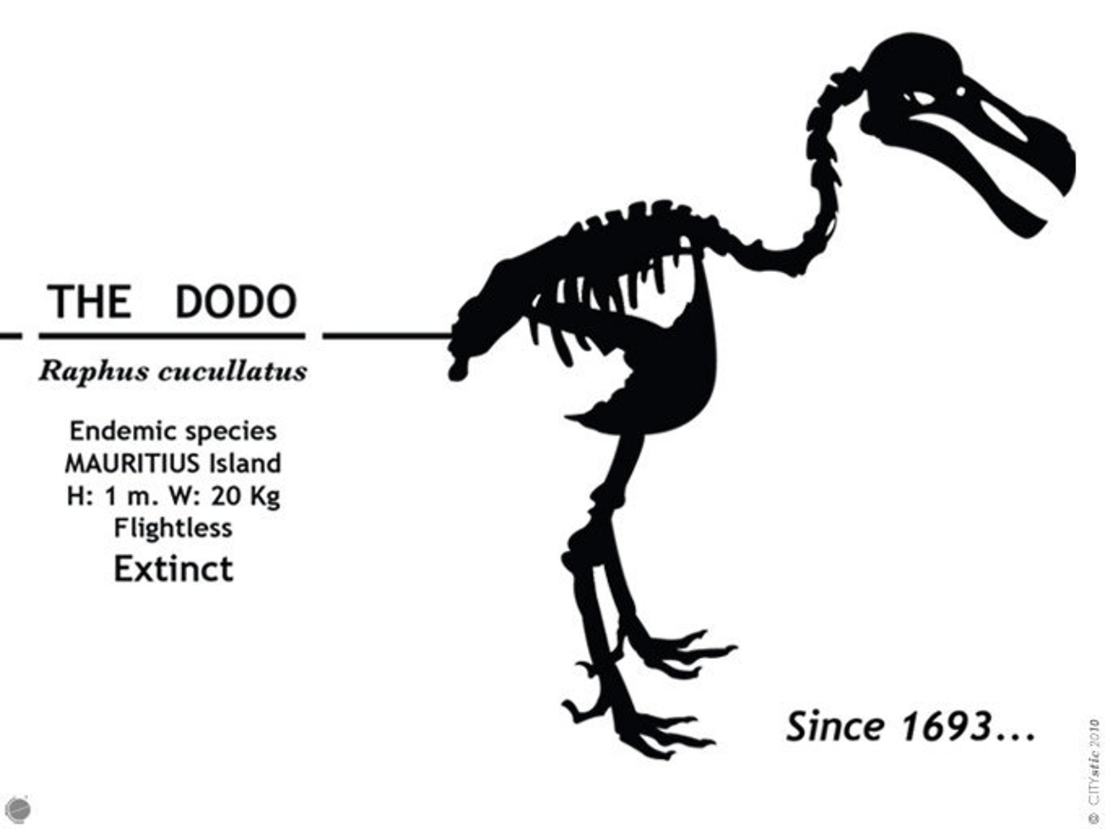 ANIMAL WALL DECAL : Dodo Wall Decor Mauritius Extinct Bird - Etsy