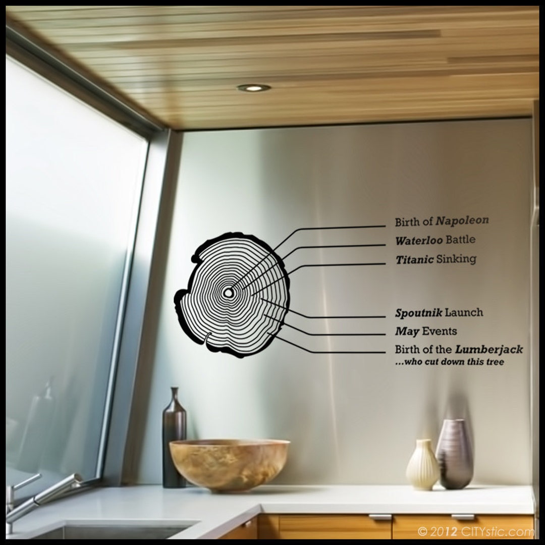 GRAPHIC : 'time Tree' Annual Rings of a Dead Tree With Important ...
