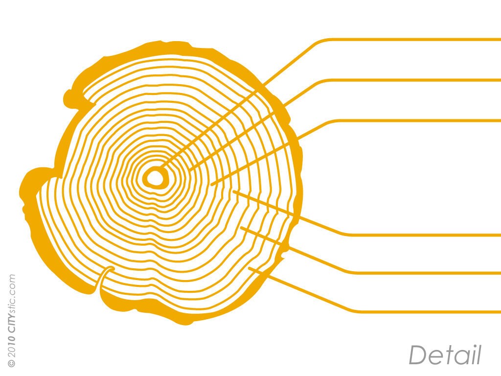 GRAPHIC : 'time Tree' Annual Rings of a Dead Tree With - Etsy