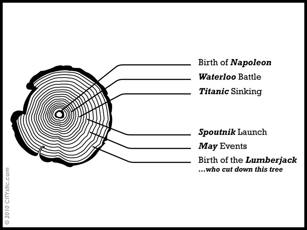 GRAPHIC : 'time Tree' Annual Rings of a Dead Tree With - Etsy