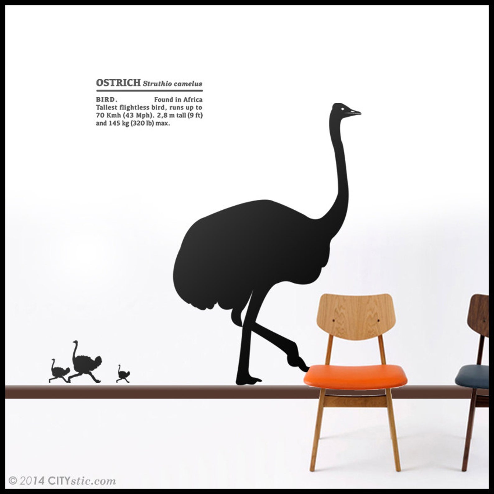 AFRICA Ostrich WALL DECAL : A Walking Ostrich in the Wild With - Etsy