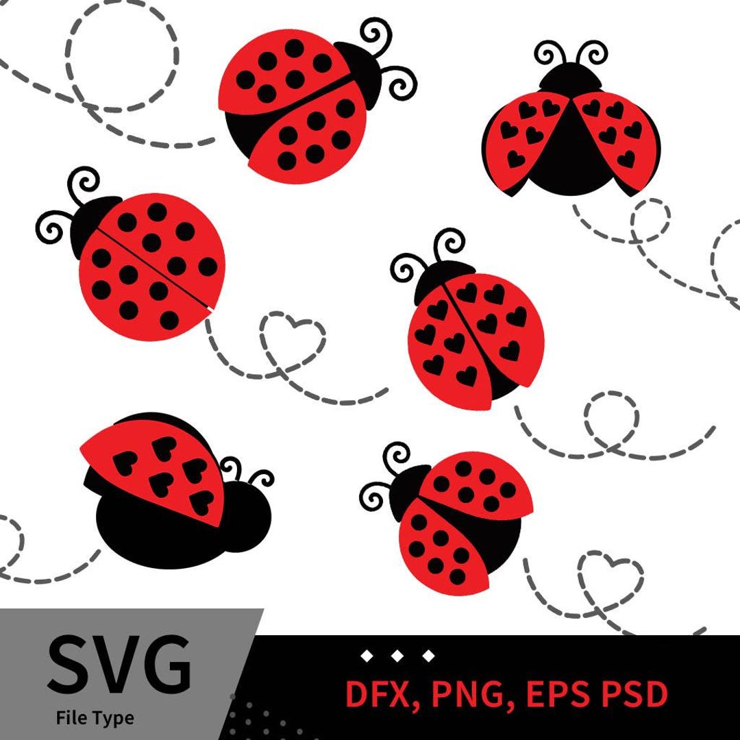 Cute Ladybug SVG Bundle, Insect Clipart (digital Download) - Etsy