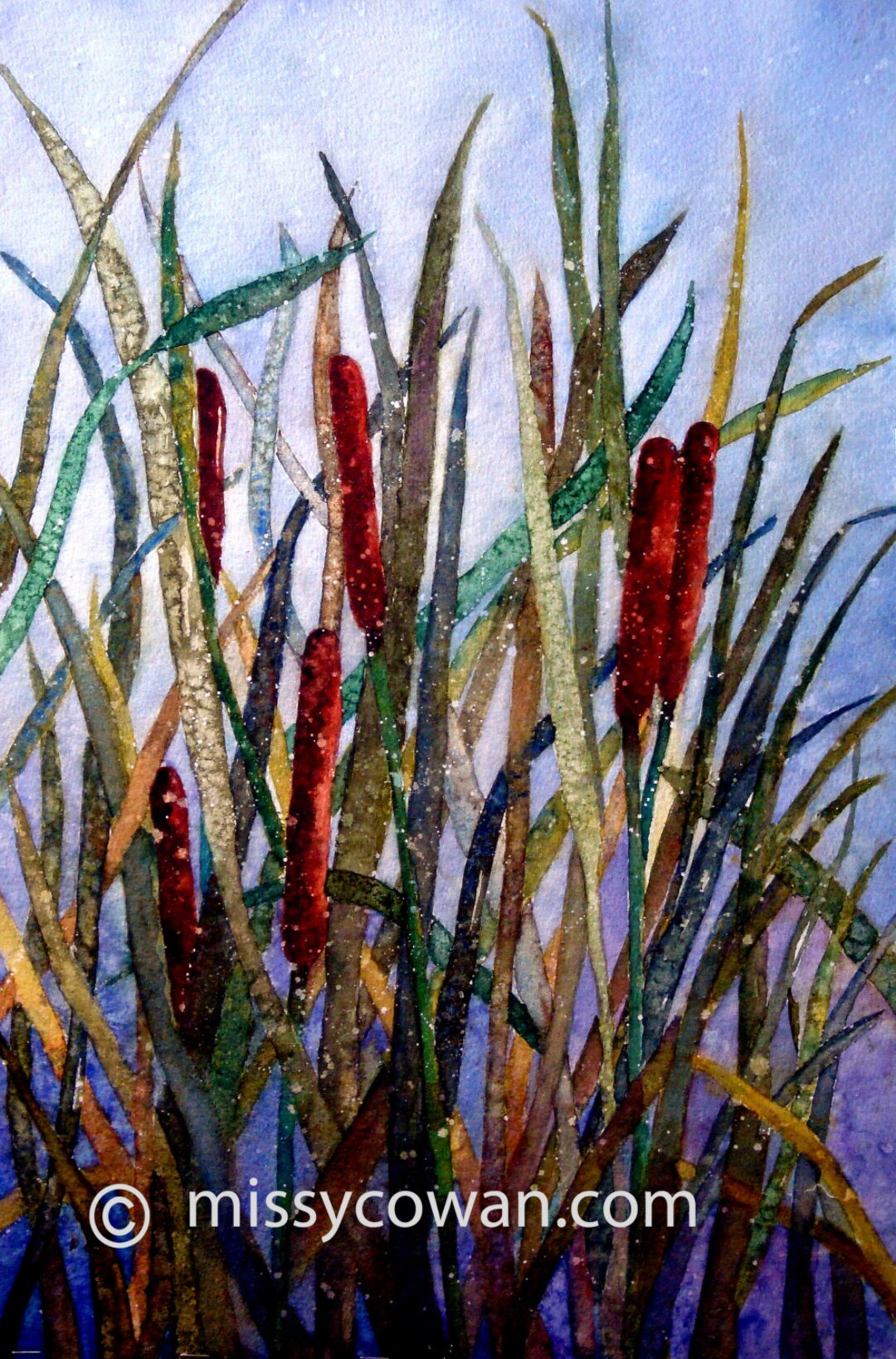 CATTAIL EXPLOSION Giclee Print of Original Watercolor Painting - Etsy