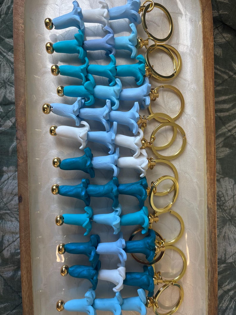 Puakenikeni Key Chains - Etsy
