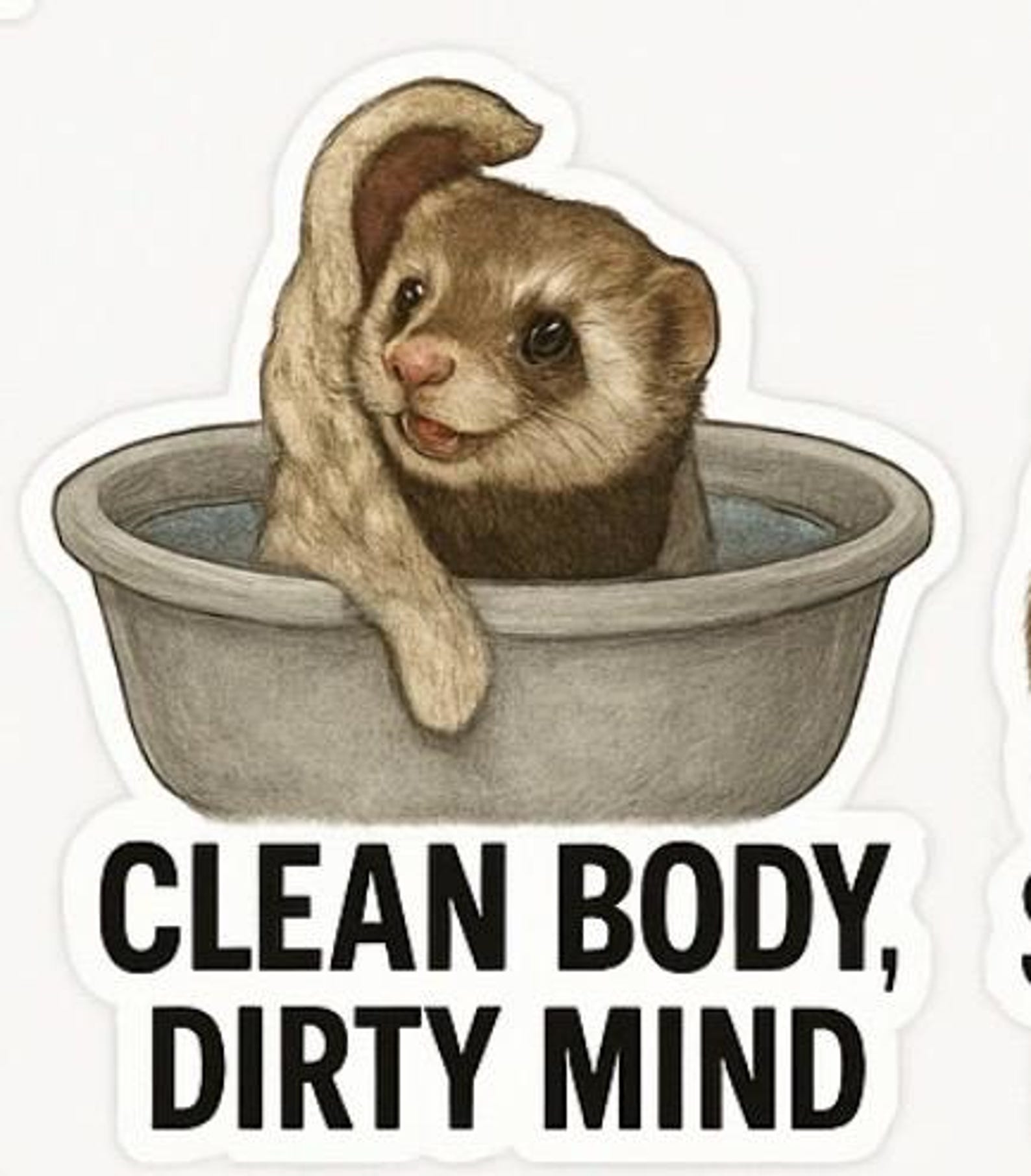 Funny Animal Meme Sticker Pack | Sarcastic Quote Stickers | Digital ...