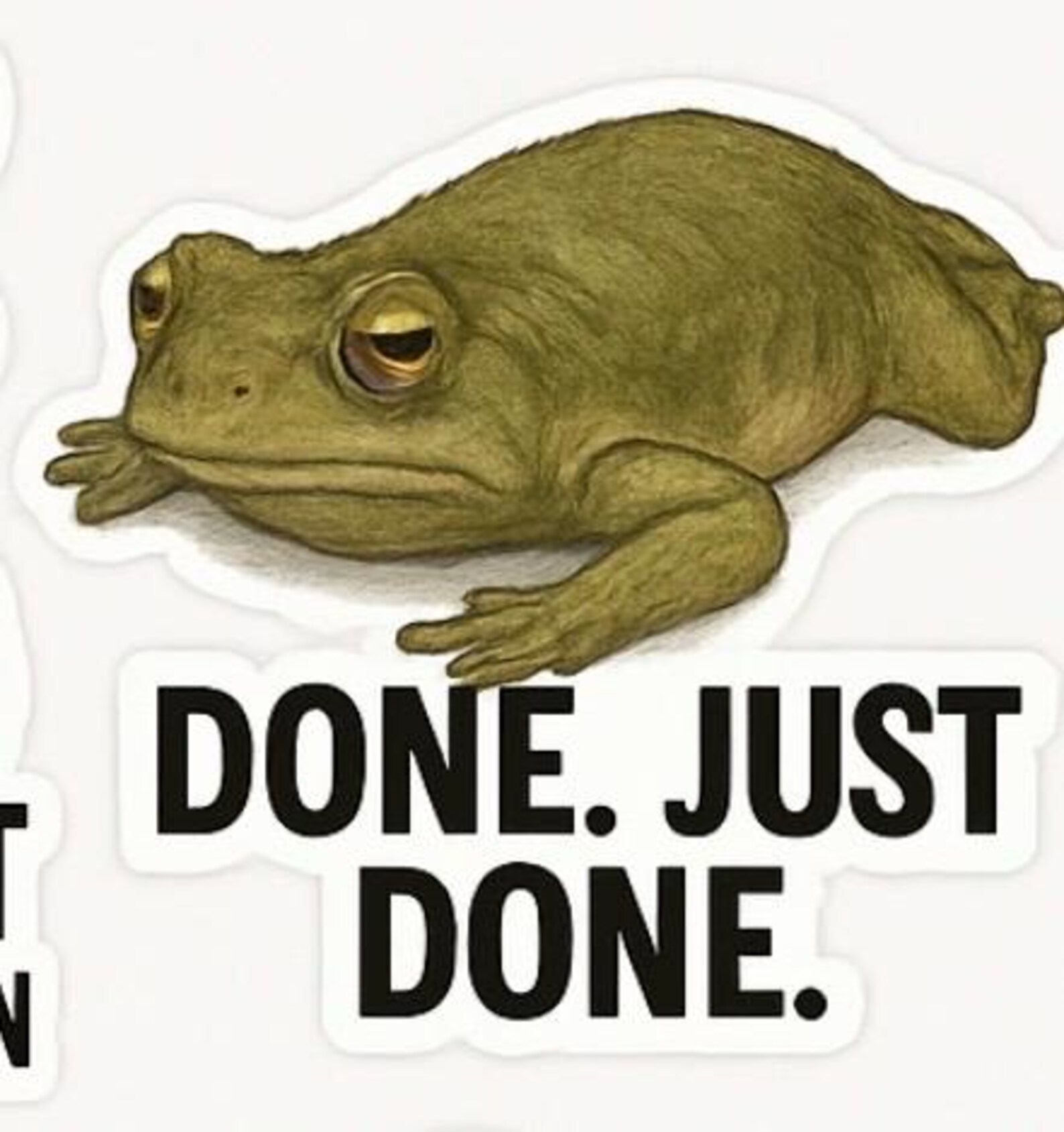 Funny Animal Meme Sticker Pack | Sarcastic Quote Stickers | Digital ...