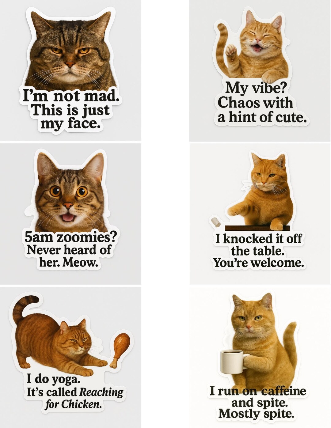 Funny Cat Meme Sticker Bundle | Sarcastic Cat Lover Stickers | Digital ...