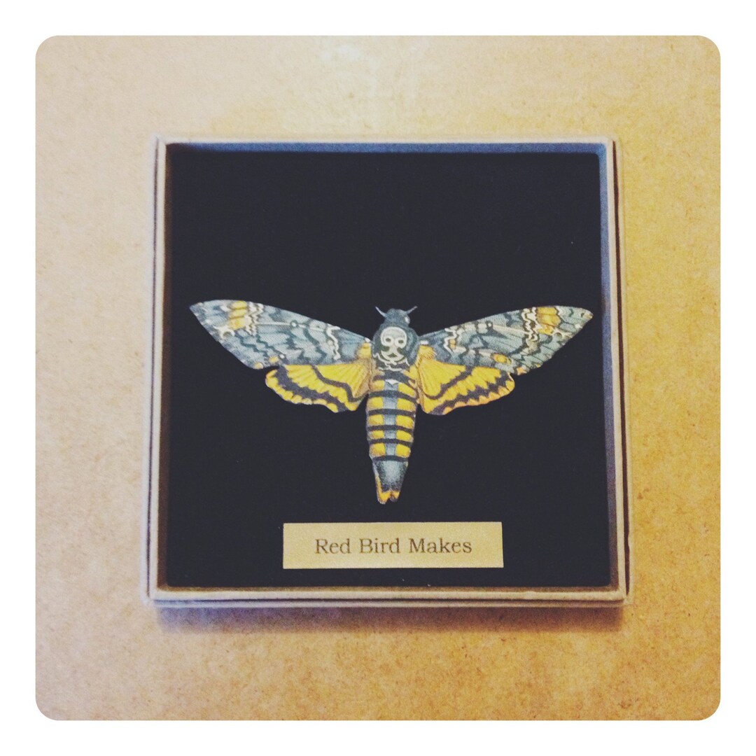 Death's Head Hawk Moth Pin - Etsy