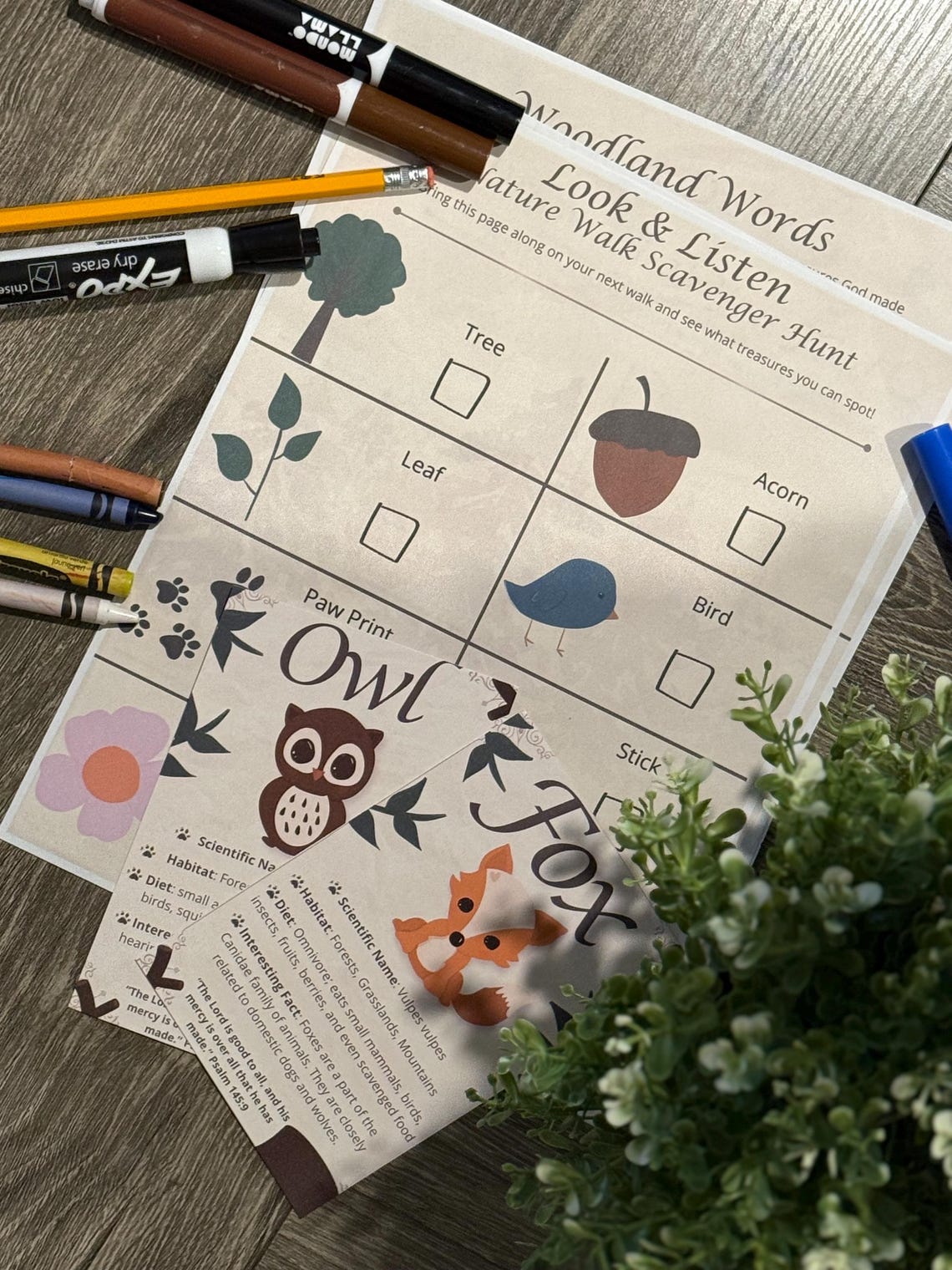 Nature Walk Scavenger Hunt Printable | Christian Homeschool Activity ...