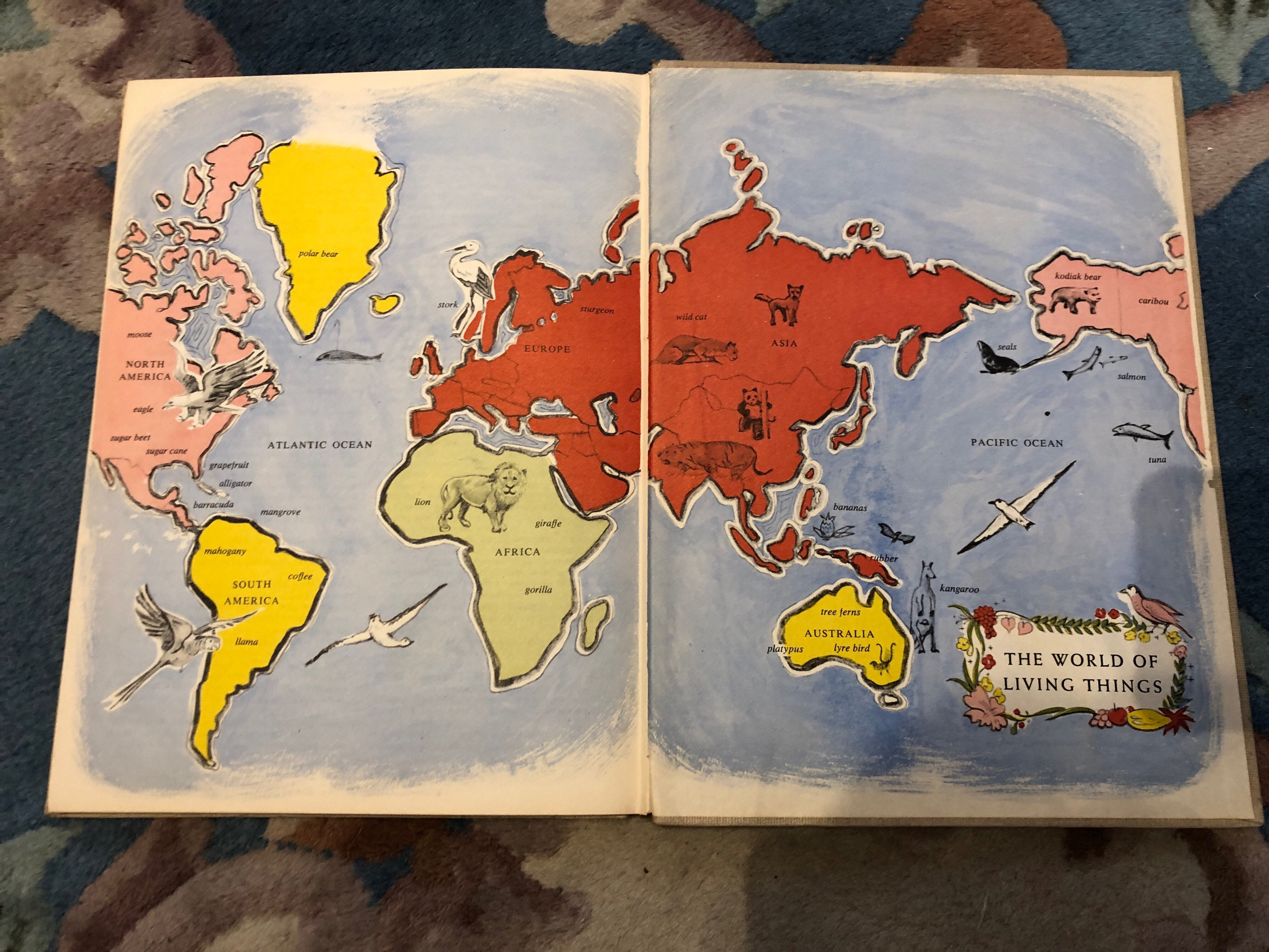 The Nature Dictionary A Picture Guide to Living Things by - Etsy