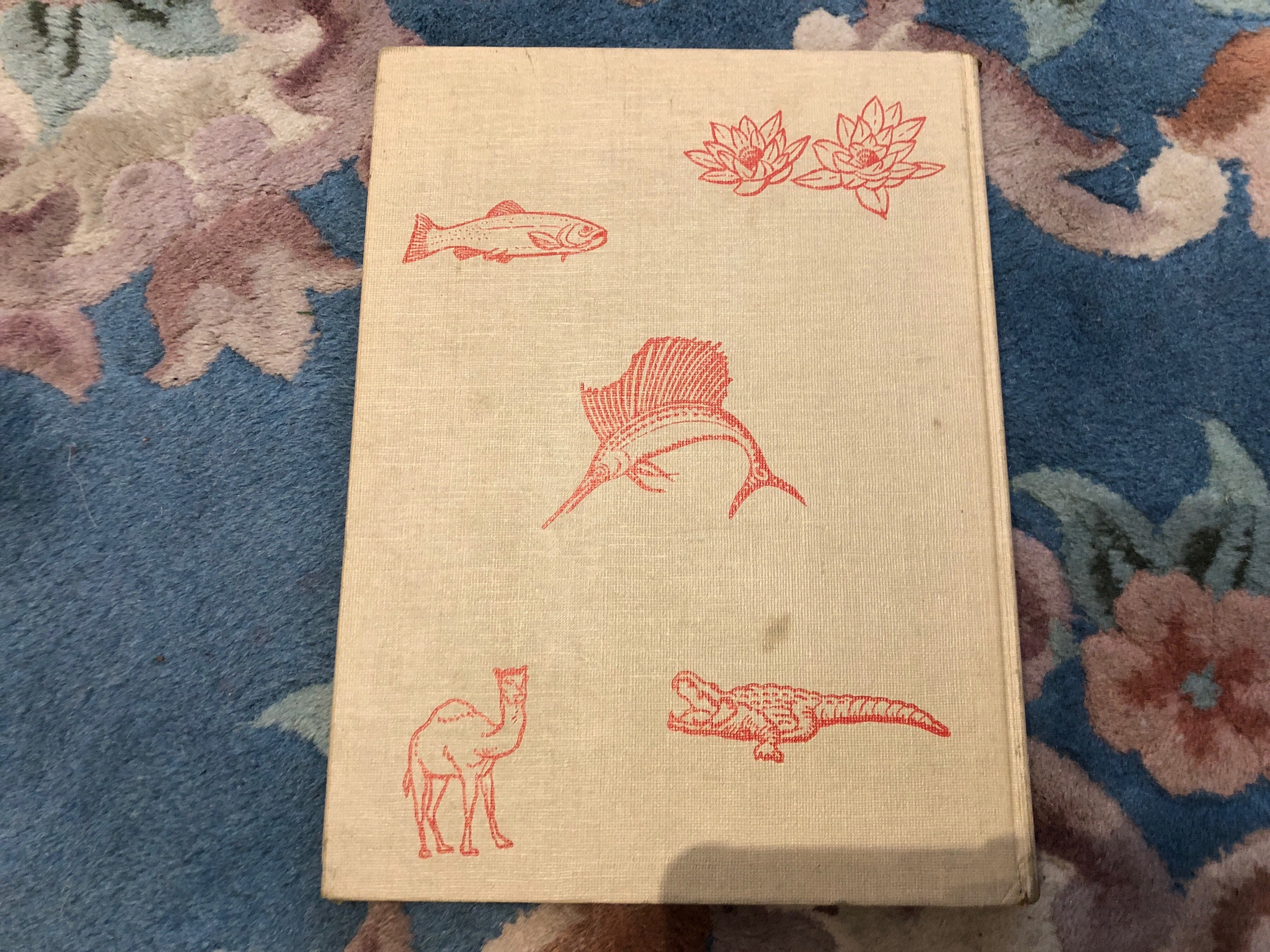 The Nature Dictionary A Picture Guide to Living Things by - Etsy