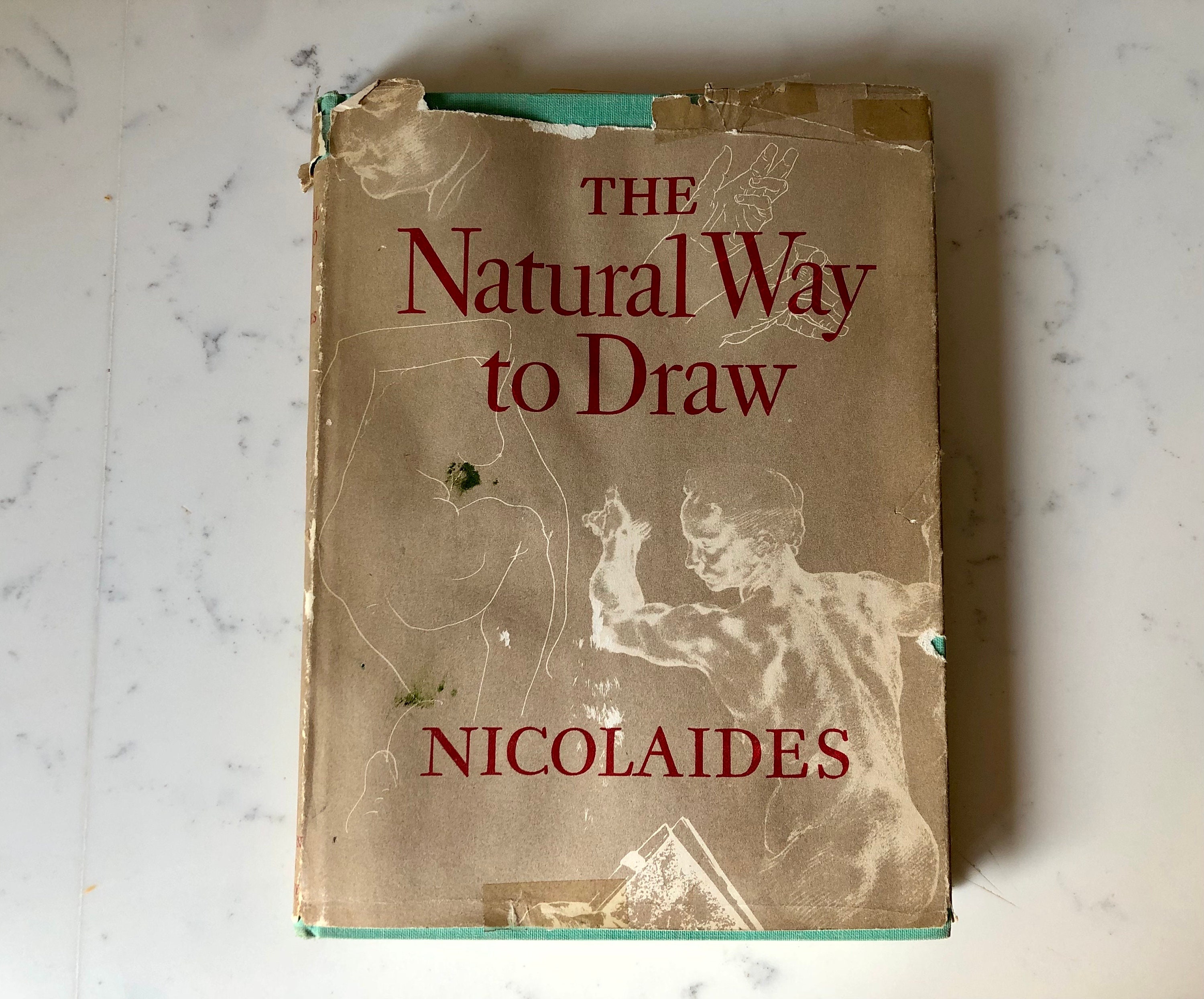 The Natural Way to Draw Kimon Nicolaides 1941 A Working Plan for Art ...