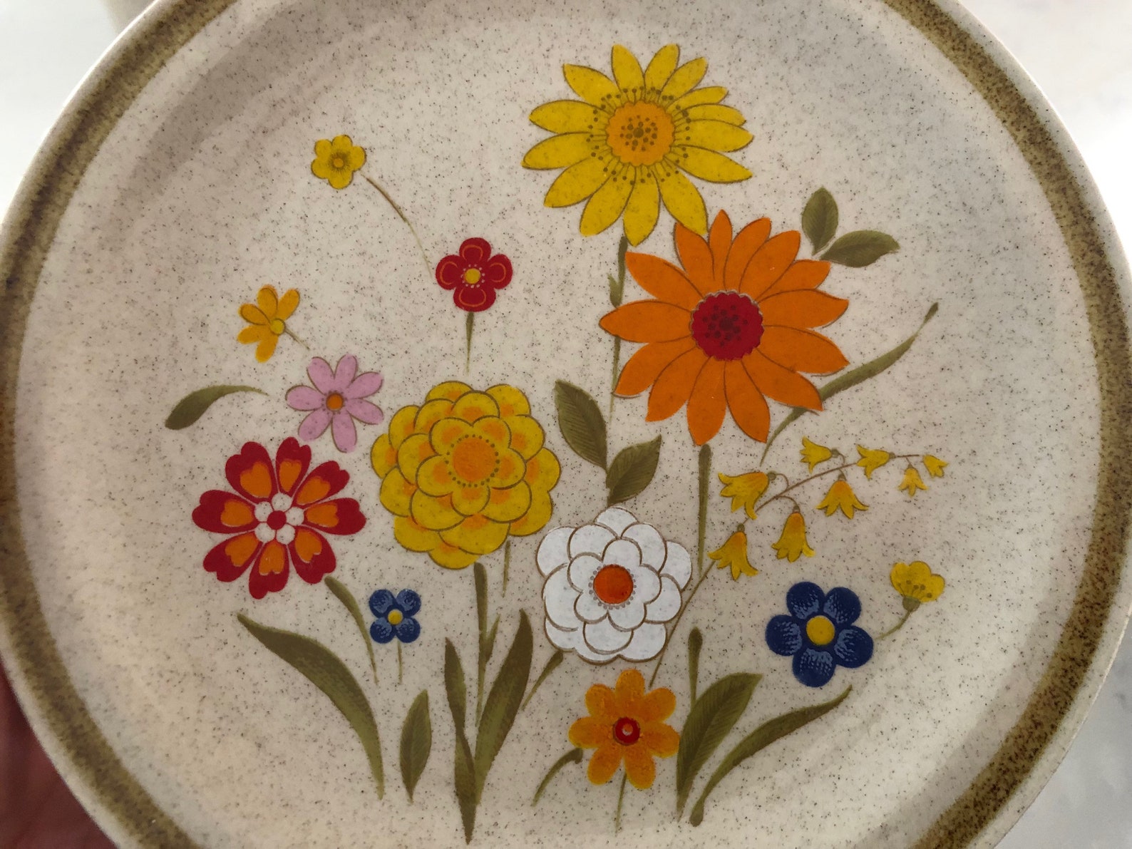 Retro International China Co, Fiesta, Japan, Dinner Plates, Dish ...