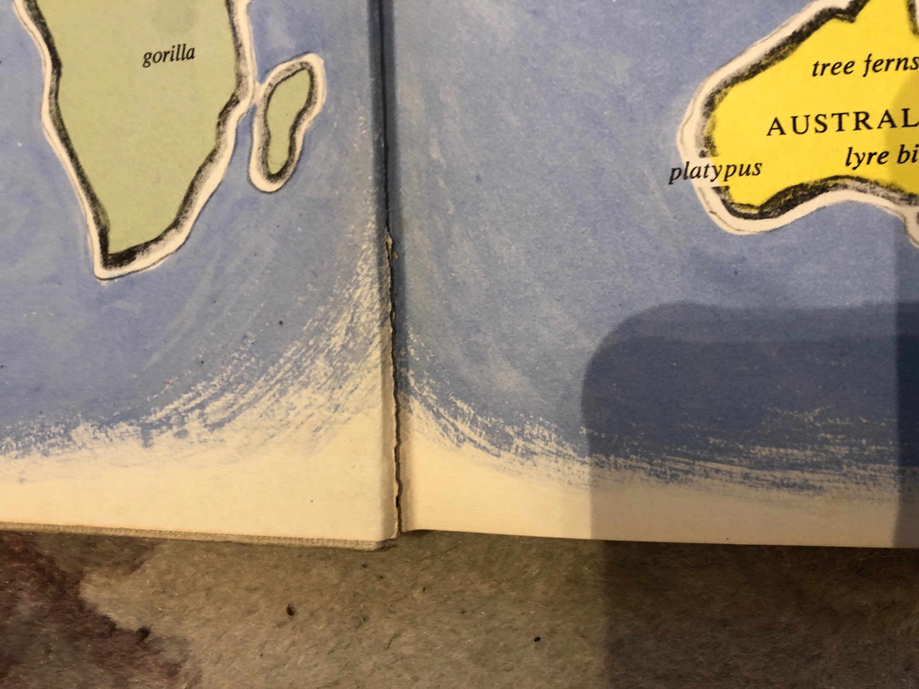 The Nature Dictionary A Picture Guide to Living Things by - Etsy