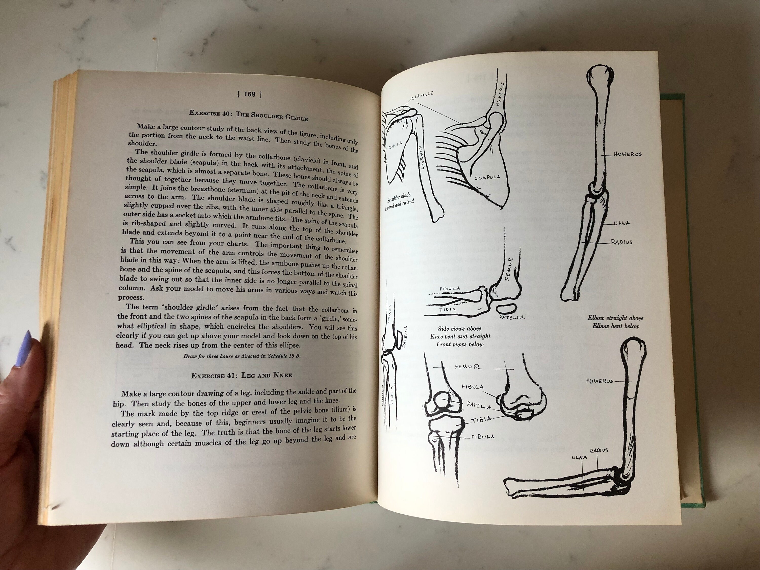 The Natural Way to Draw Kimon Nicolaides 1941 A Working Plan for Art ...