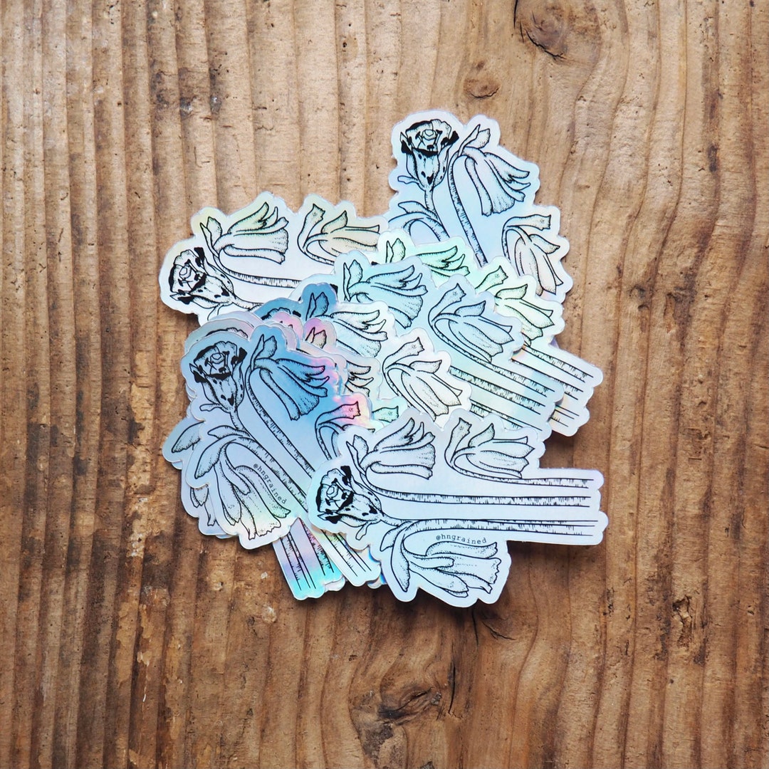 Ghost Pipe Plant Illustrated Holographic Vinyl Sticker - Etsy