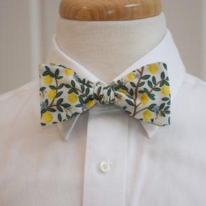 Bow Tie, Rifle Paper Co Lemon Grove, Yellow/green/blue Botanical ...