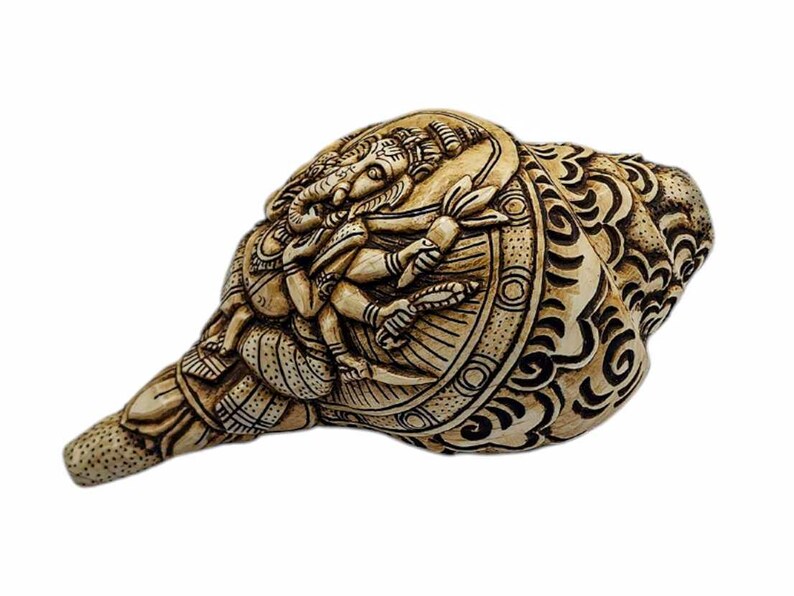 4-inch Conch Shell With Ganesh Hand Carved - Etsy