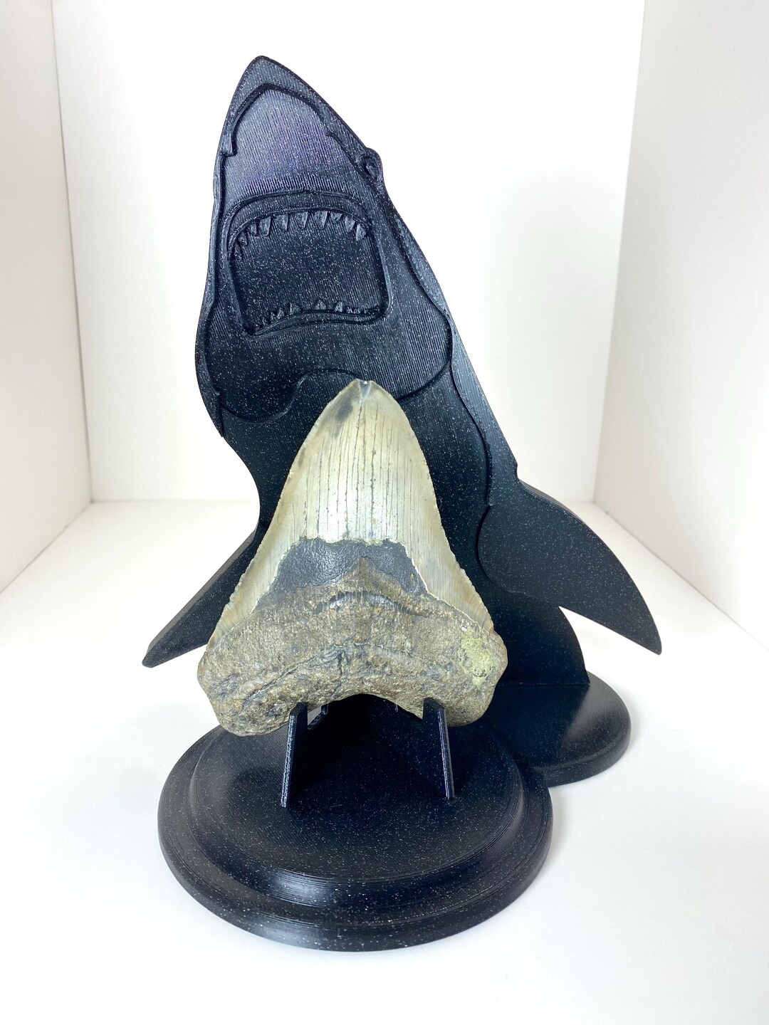 Megalodon/fossil Shark Tooth Display Stand; Custom Designed/3d Printed ...