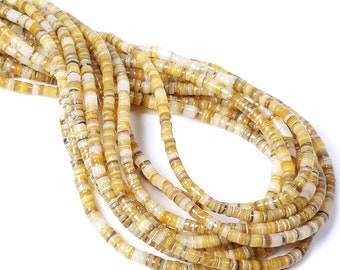 Brown Lip Shell | Etsy