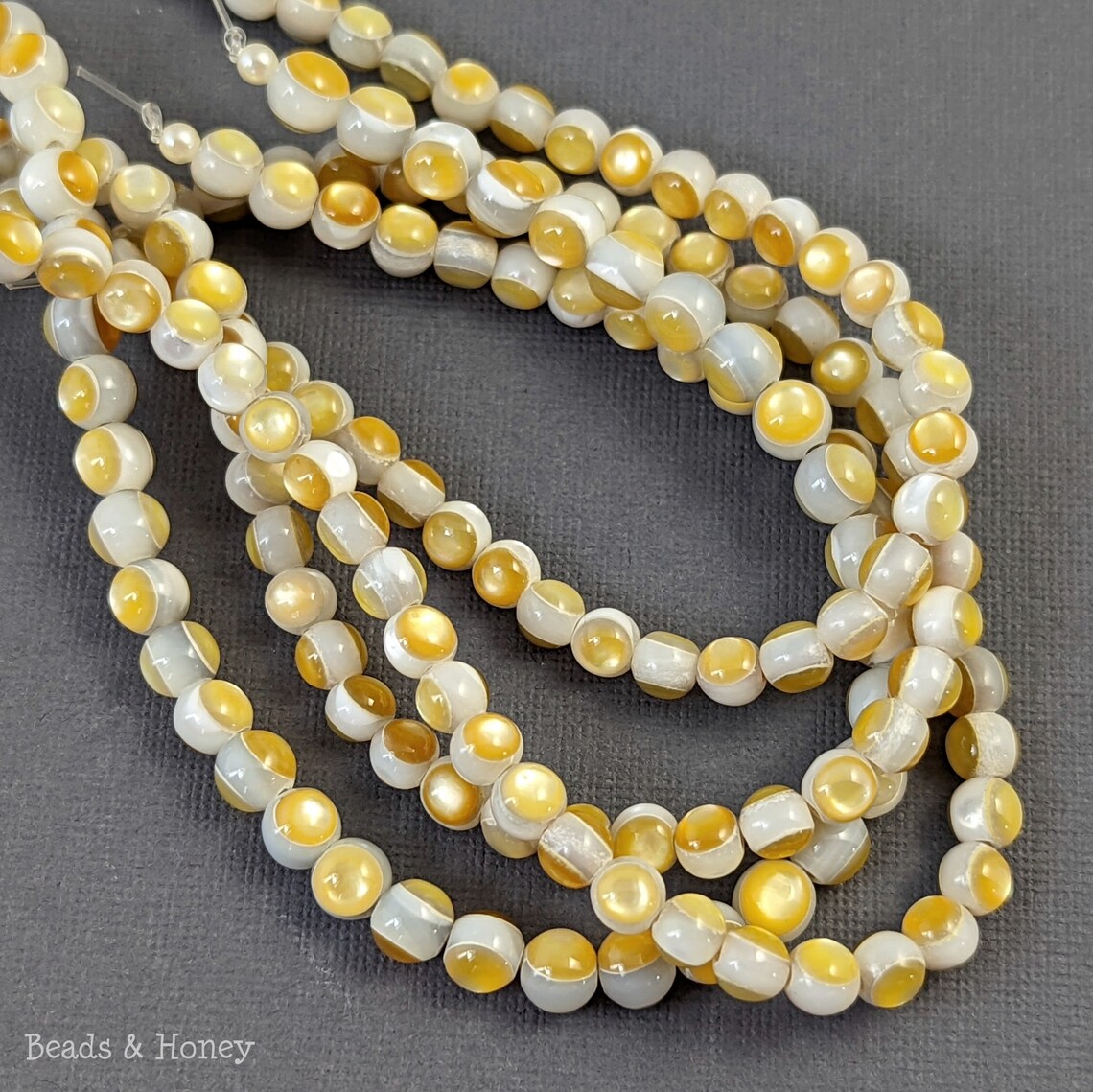 Troca Shell With Gold Mother of Pearl Inlay, 5mm - 6mm, High Grade ...