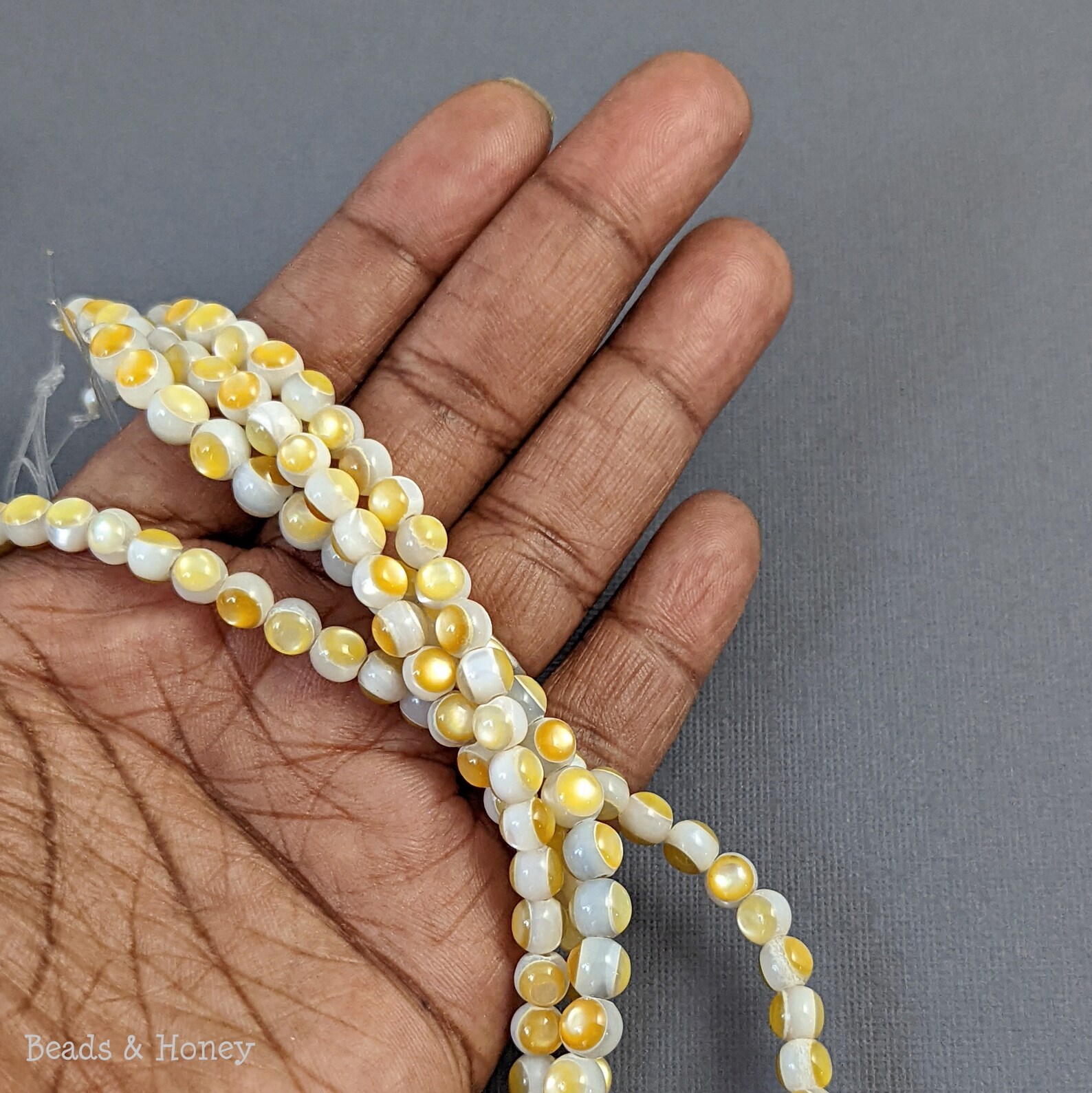 Troca Shell With Gold Mother of Pearl Inlay, 5mm - 6mm, High Grade ...