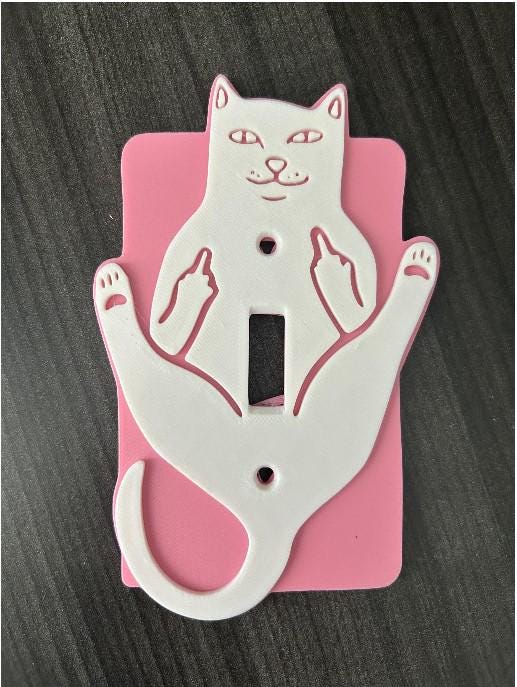 Funny Cat Middle Finger Light Switch Cover - Gag Gift - Unique Home ...
